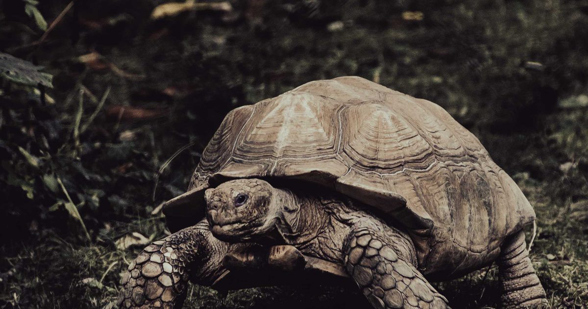 Slow Down for Loving Union | Grace Community Church, Richhill